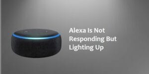 Alexa Not Responding But Lighting Up - 8 Ways To Fix